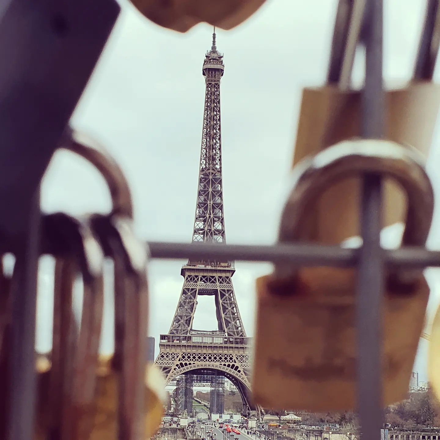 Des retrouvailles familiales à Paris - WiiSmile